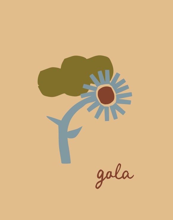 Gala Store